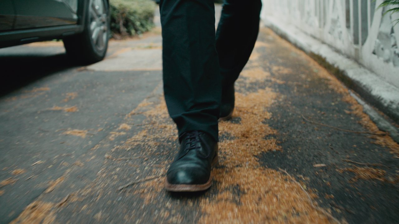 Dr. Monika Wulf-Mathies | Beethovenfest Magazin